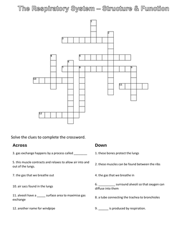 KS3 Science Respiration / Respiratory System Worksheets | Teaching ...