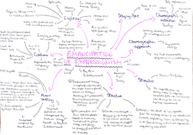 GCSE Dance revision resources | Teaching Resources