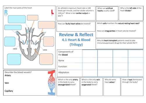 AQA Trilogy KS4 Unit B4.2 heart and blood review & reflect worksheet ...