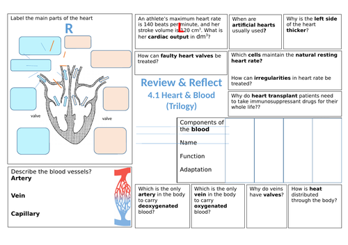 AQA Trilogy KS4 Unit B4.2 heart and blood review & reflect worksheet ...