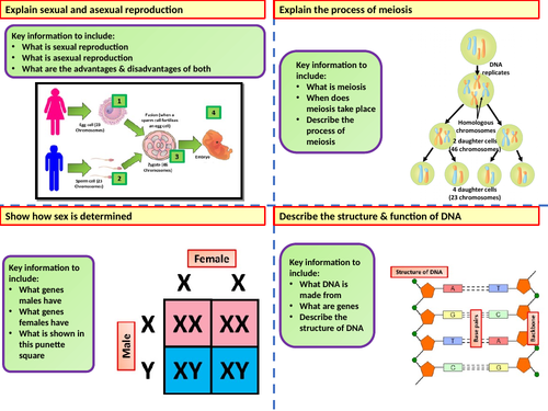 AQA KS4 GCSE Biology (Science) Inheritance & Evolution Revision ...