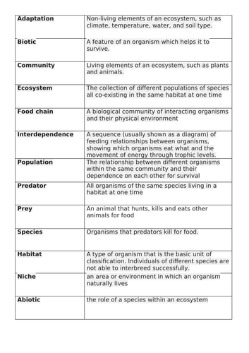 Ecology Loop Game | Teaching Resources