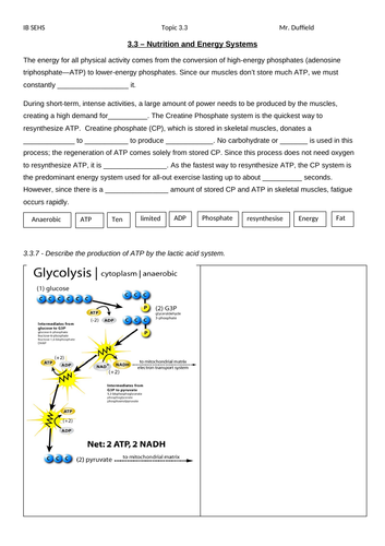 IB DP Sports Exercise and Health Science Topic 3 Complete | Teaching ...
