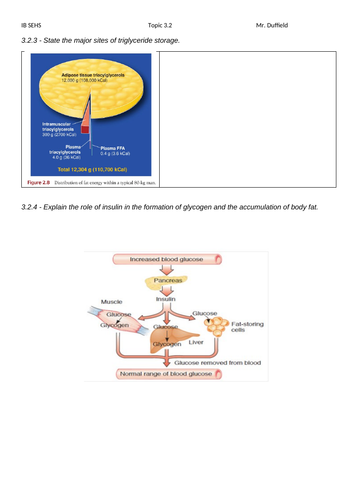 IB DP Sports Exercise and Health Science Topic 3 Complete | Teaching ...