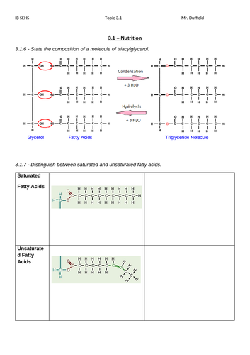 IB DP Sports Exercise and Health Science Topic 3 Complete | Teaching ...