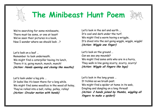 Minibeasts / Creepy Crawlies - Poetry UOW & TEXT | Teaching Resources