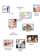 BTEC Child Development Learning aim B Factors that affect growth and ...