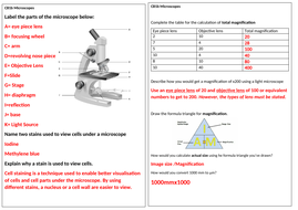 Edexcel CB1 (SB1)Core Practical Revision Summary sheet and answers ...