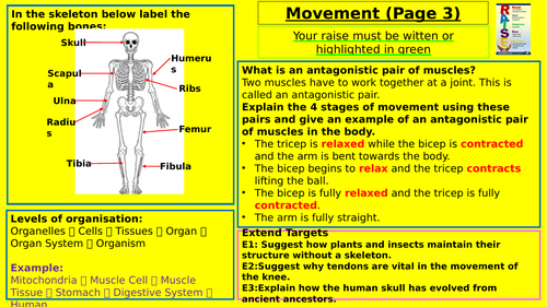 Year 7 Homework Booklet for Science with marking slides | Teaching Resources