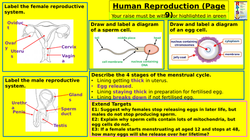 Year 7 Homework Booklet for Science with marking slides | Teaching Resources
