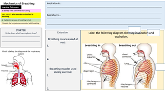 AQA PE GCSE Cardio Respiratory Part 1. | Teaching Resources