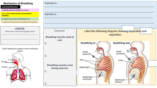 AQA PE GCSE Cardio Respiratory Part 1. | Teaching Resources