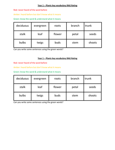 Year 1 Science RAG Rate key vocabulary | Teaching Resources