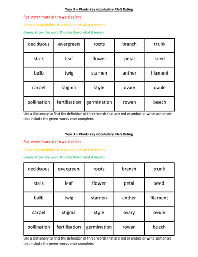 Year 3 Science RAG Rate key vocabulary | Teaching Resources