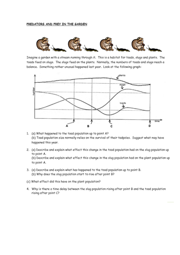 Year 7 Ecosystems Bundle | Teaching Resources
