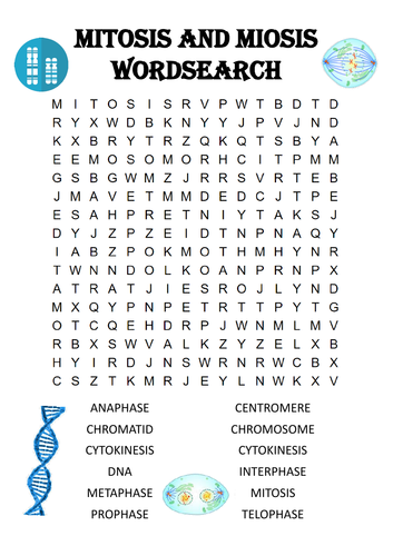 Biology word search Puzzle: Mitosis and meiosis (Includes answer key ...