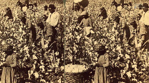 Why had slavery become the cornerstone of the southern economy ...