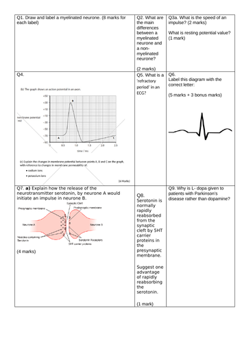 BTEC applied science Unit 1 Biology weekly homework/ exam questions ...