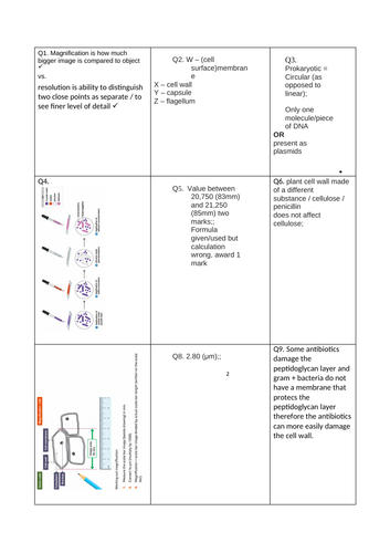 BTEC applied science Unit 1 Biology weekly homework/ exam questions ... BTEC applied science Unit 1 Biology weekly homework/ exam questions ...