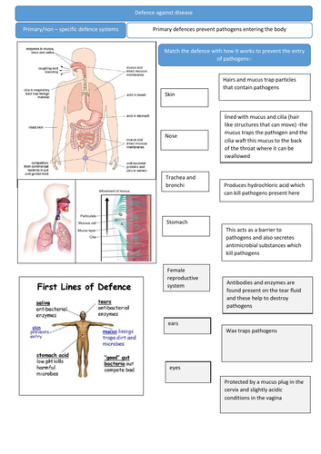 GCSE 9-1 Defence against disease in humans | Teaching Resources
