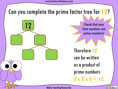 Prime Numbers - Year 6 | Teaching Resources
