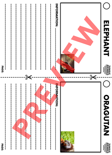 Jungle Animals Student Research Booklet | Teaching Resources