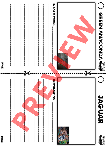Jungle Animals Student Research Booklet | Teaching Resources