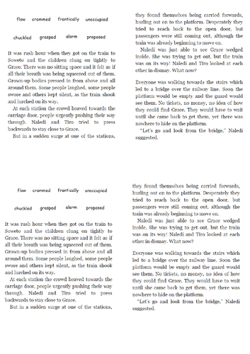 Journey to Jo'burg whole text planning and resources for upper KS2 (6 ...