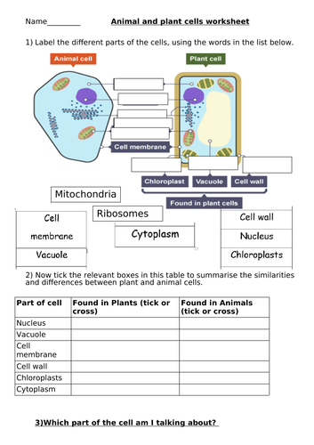 Eukaryotic and Prokaryotic Cells (GCSE) | Teaching Resources