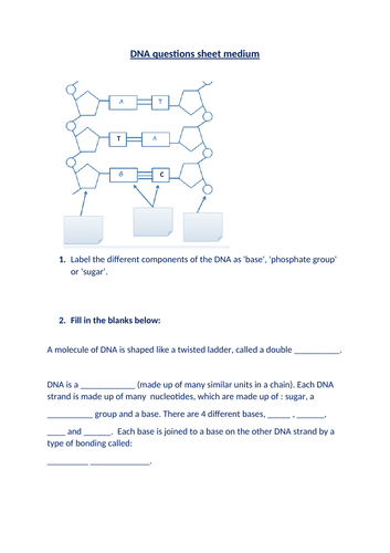 DNA and the Human Genome (AQA 9-1 GCSE) - Inheritance topic B6 ...