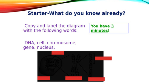 DNA and the Human Genome (AQA 9-1 GCSE) - Inheritance topic B6 ...