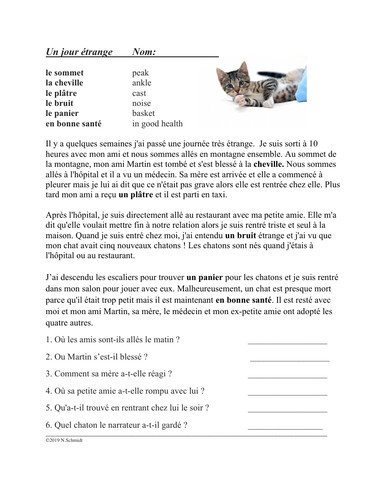 Passé Composé French Reading Bundle: Top 4 Readings @30% off ...