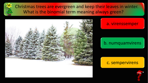 Science Christmas Quiz | Teaching Resources
