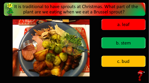 Science Christmas Quiz | Teaching Resources