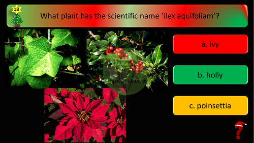 Science Christmas Quiz | Teaching Resources