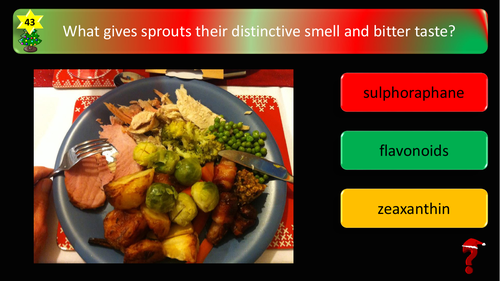 Science Christmas Quiz | Teaching Resources