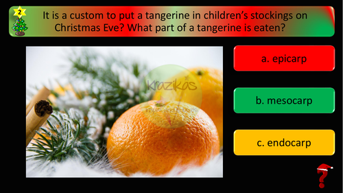 Science Christmas Quiz | Teaching Resources