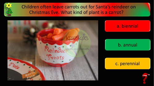 Science Christmas Quiz | Teaching Resources