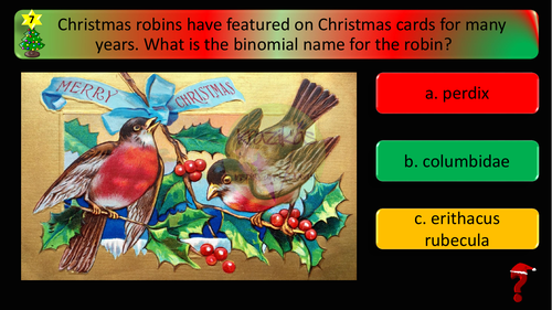 Science Christmas Quiz | Teaching Resources