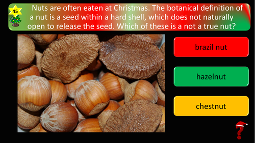 Science Christmas Quiz | Teaching Resources