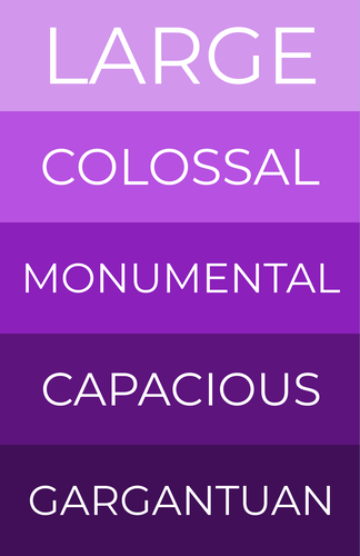 Vivid Words English Vocabulary Display | Teaching Resources