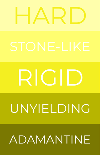 Vivid Words English Vocabulary Display | Teaching Resources