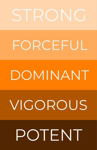 Vivid Words English Vocabulary Display | Teaching Resources