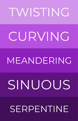 Vivid Words English Vocabulary Display | Teaching Resources