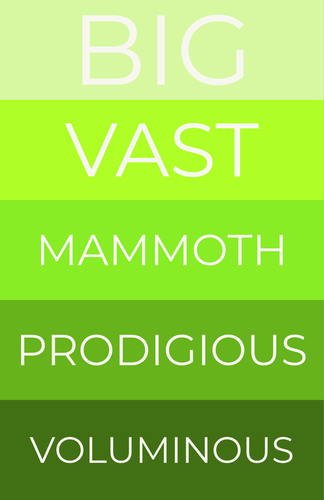 Vivid Words English Vocabulary Display | Teaching Resources