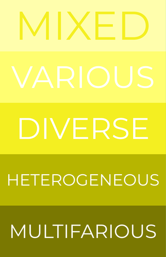 Vivid Words English Vocabulary Display | Teaching Resources