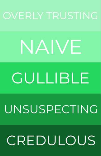 Vivid Words English Vocabulary Display | Teaching Resources