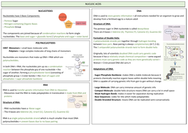 AQA A LEVEL BIOLOGY - Nucleic Acids Revision | Teaching Resources