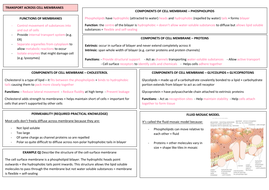 AQA A LEVEL BIOLOGY - Transport Across Cell Membranes Revision ...