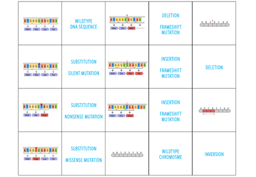 Mutations - Card Sort (KS4/5) | Teaching Resources